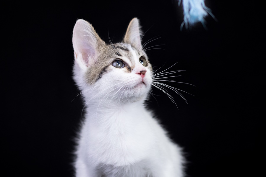 Maggie Epling Photography