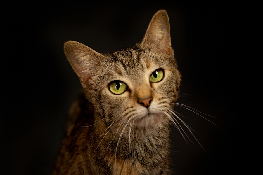 Maggie Epling Photography