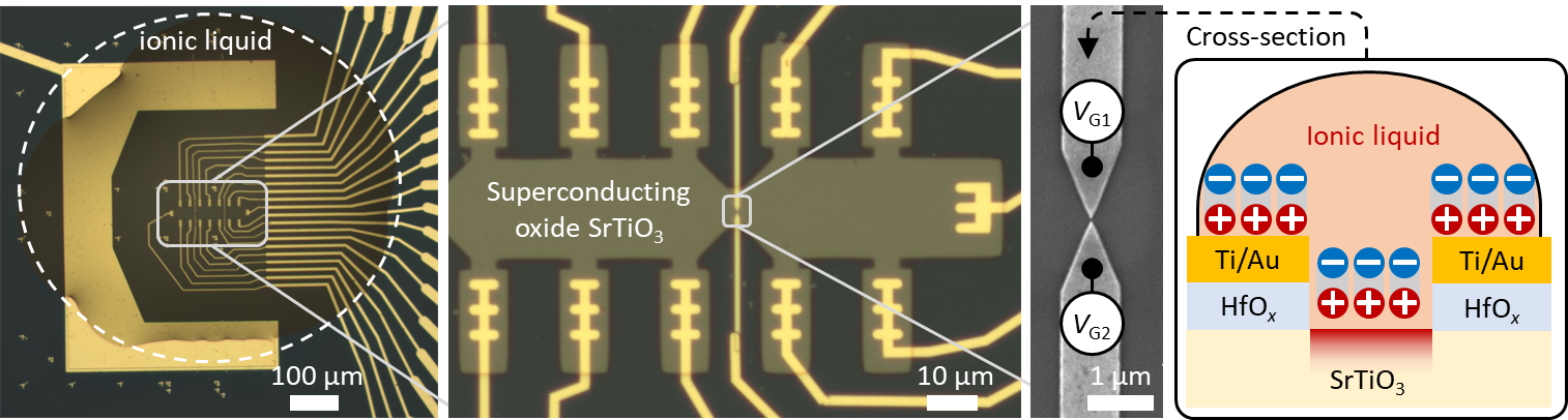 Research – Mikheev Lab