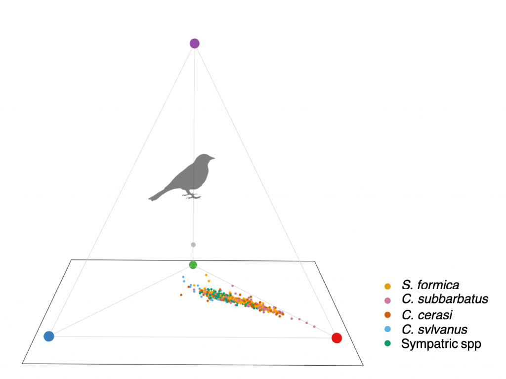 Alexis Dodson | MS Student – Morehouse Lab, University of Cincinnati